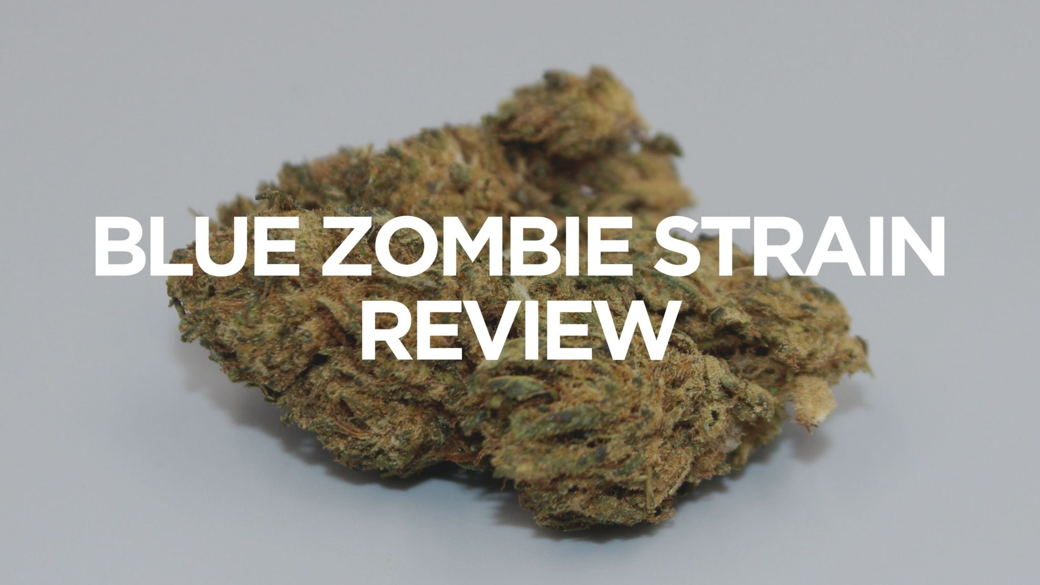 Blue Zombie Strain Review - Creator's Choice