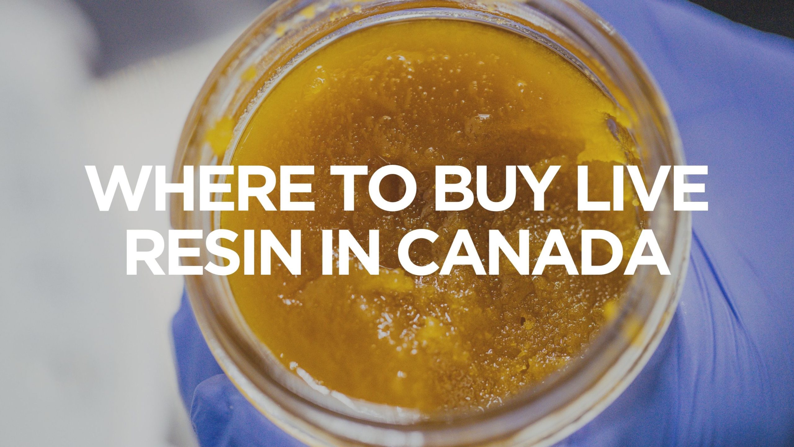 Where To Buy Live Resin In Canada - Creator's Choice