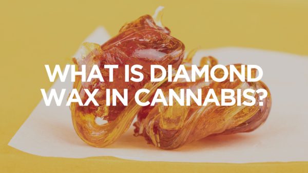 What is Diamond Wax in Cannabis? - Creator's Choice