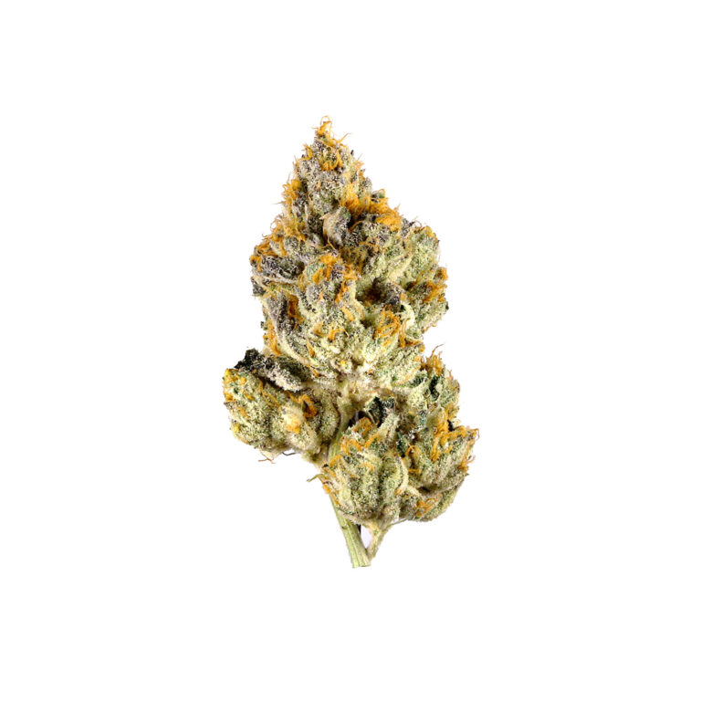 Face Off OG - Creator's Choice